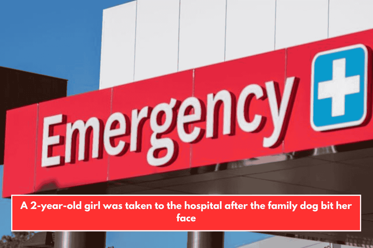 A 2-year-old girl was taken to the hospital after the family dog bit ...