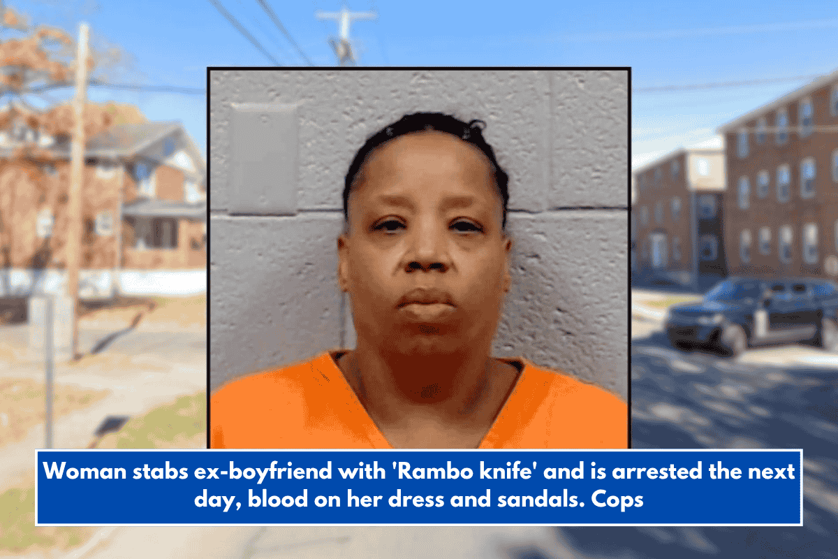 Woman stabs ex-boyfriend with 'Rambo knife' and is arrested the next day, blood on her dress and ...
