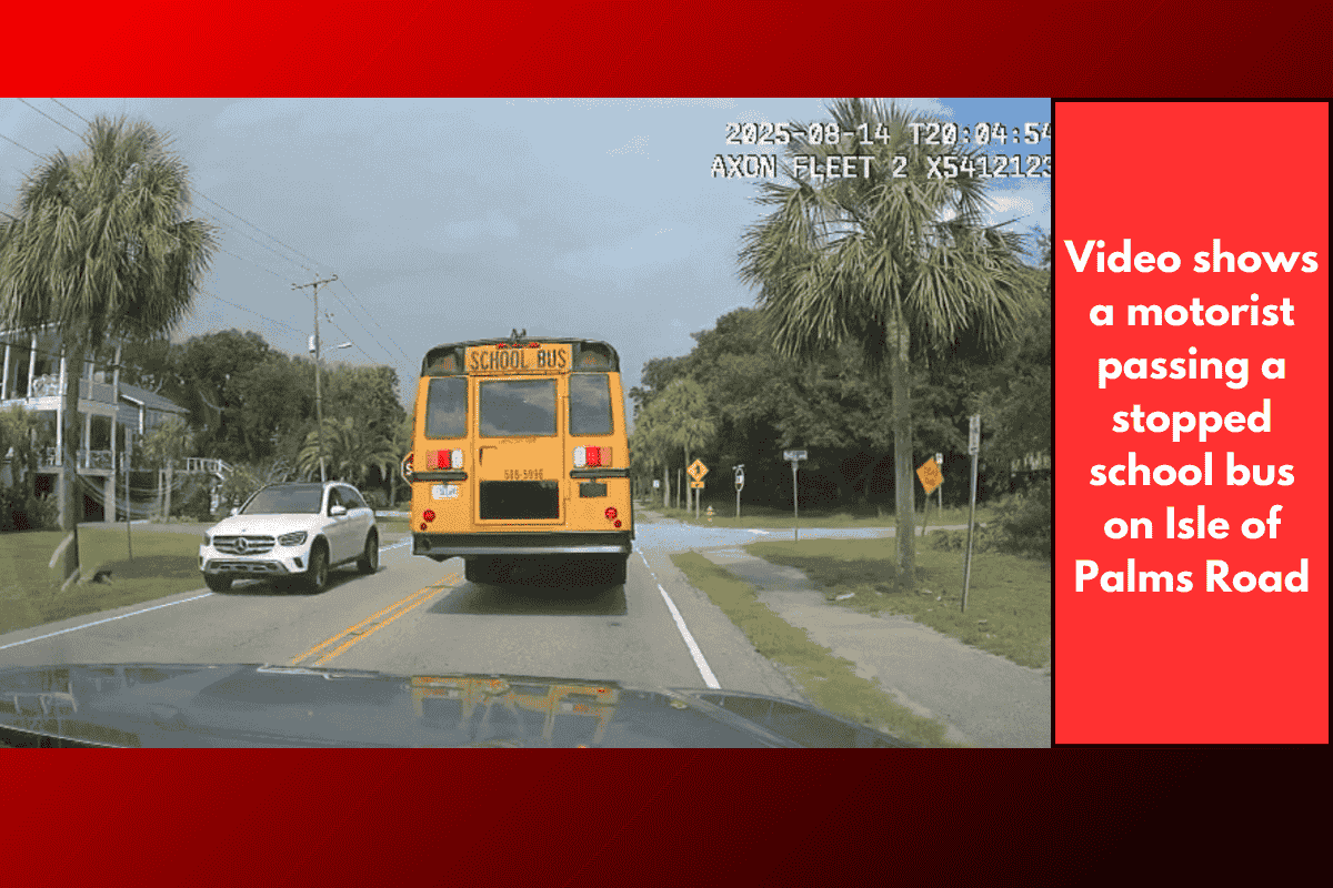 Video shows a motorist passing a stopped school bus on Isle of Palms Road