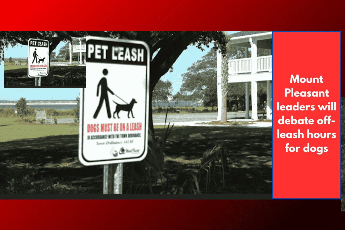 Mount Pleasant leaders will debate off-leash hours for dogs