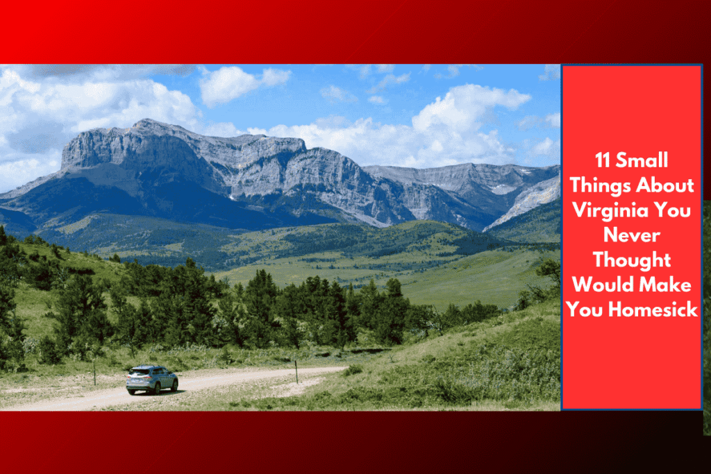 11 Small Things About Virginia You Never Thought Would Make You Homesick