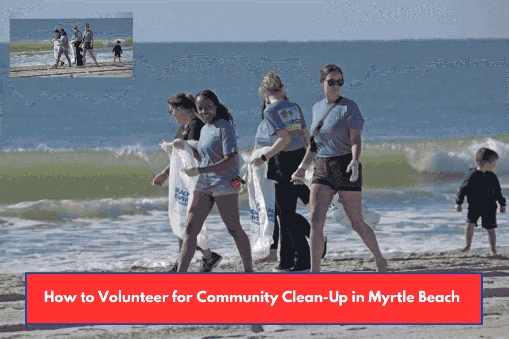 How to Volunteer for Community Clean-Up in Myrtle Beach