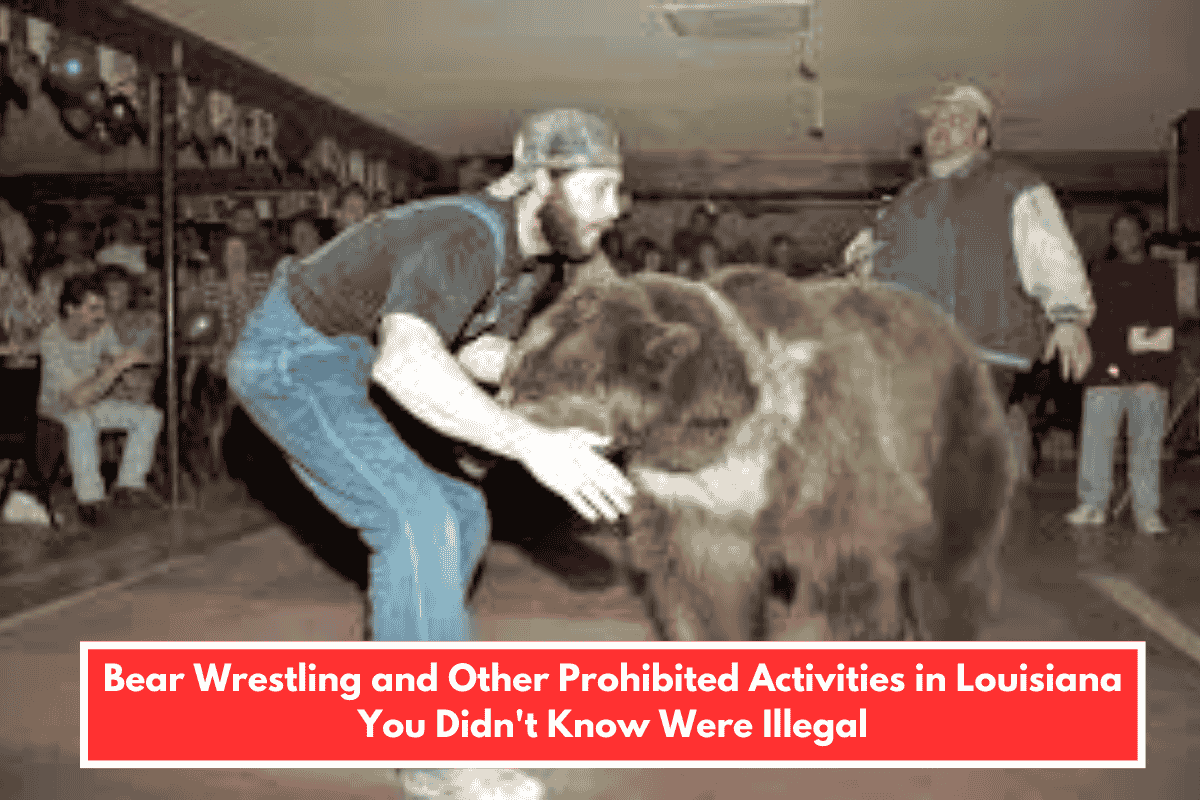 Bear Wrestling and Other Prohibited Activities in Louisiana You Didn't ...